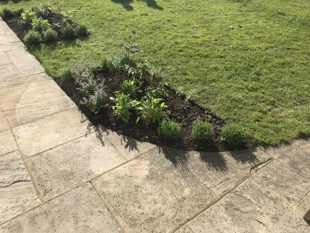 Cottage Garden, Deal, Kent, UK - Residential - Mark Lane Designs Ltd