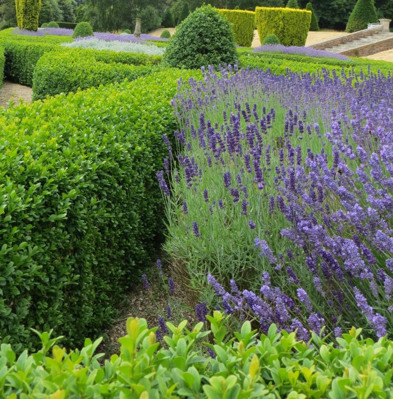 Country house garden that is quintessentially English